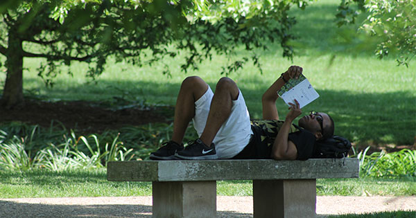 Majors, Degrees & Programs: The IU Education: Office of Admissions ...